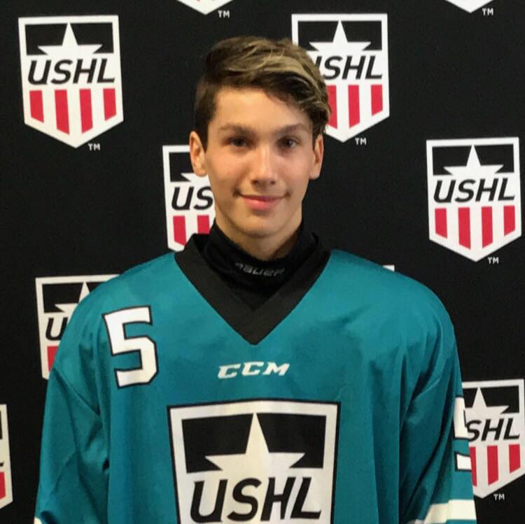 Jour 2 du repêchage LHJMQ: Isaac Ménard et Jacob Lafontaine à ...