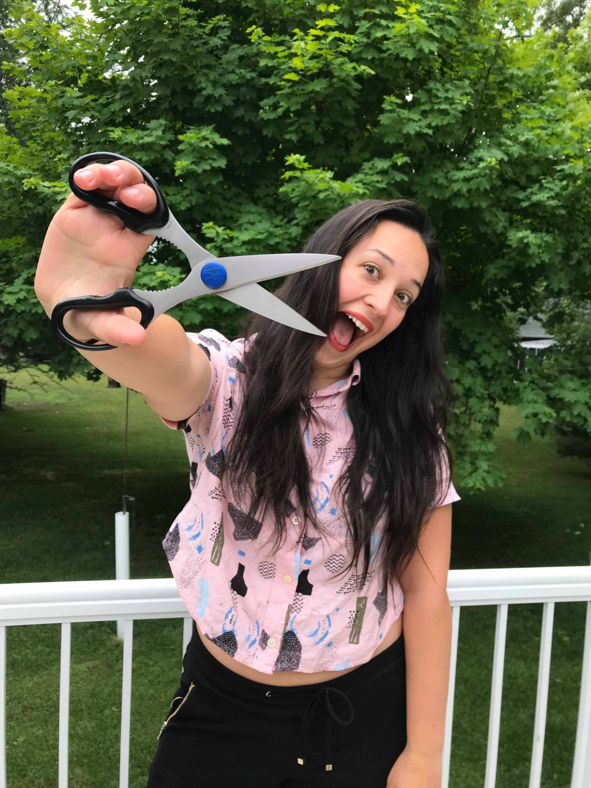 Michèle Perreault met sa tête à prix - L’Hebdo Journal