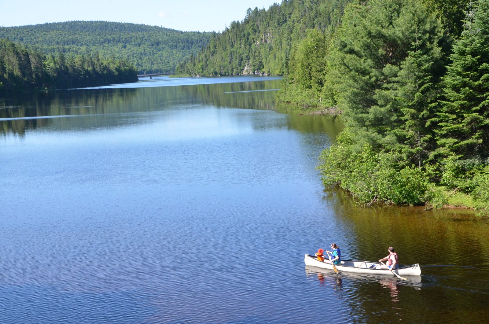 Parc national de la Mauricie : les petits pas d’une grande reprise - L ...