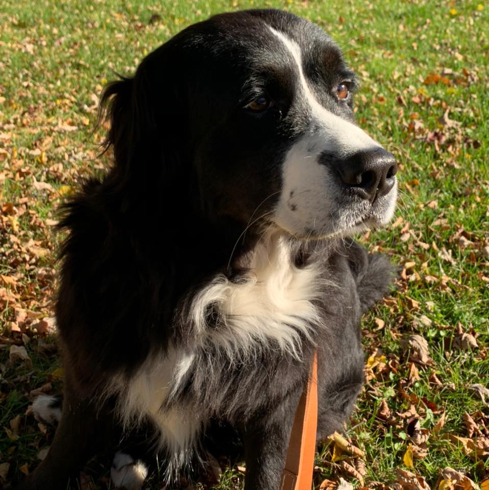 Nilane, plus importante que jamais - L’Hebdo Journal